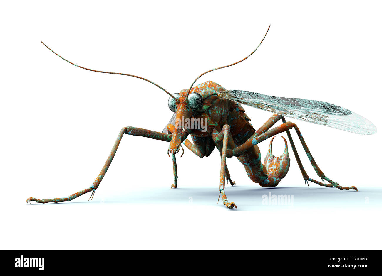 digital safety concept computer bug isolated on white Stock Photo - Alamy