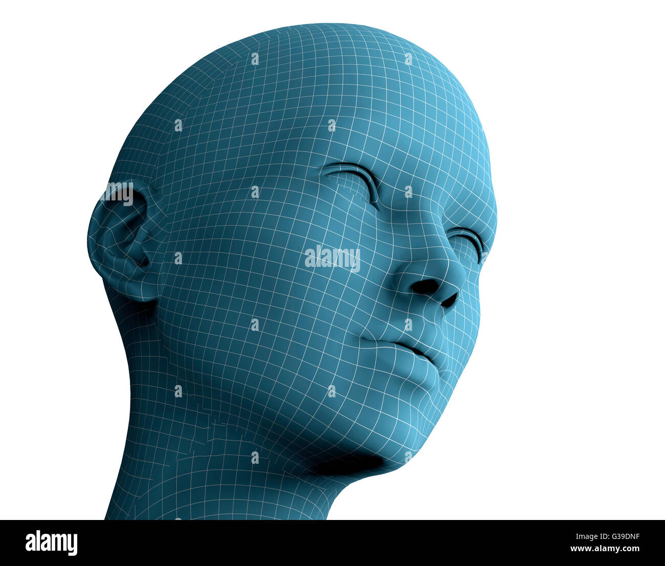 woman face in wireframe lines isolated on white Stock Photo - Alamy