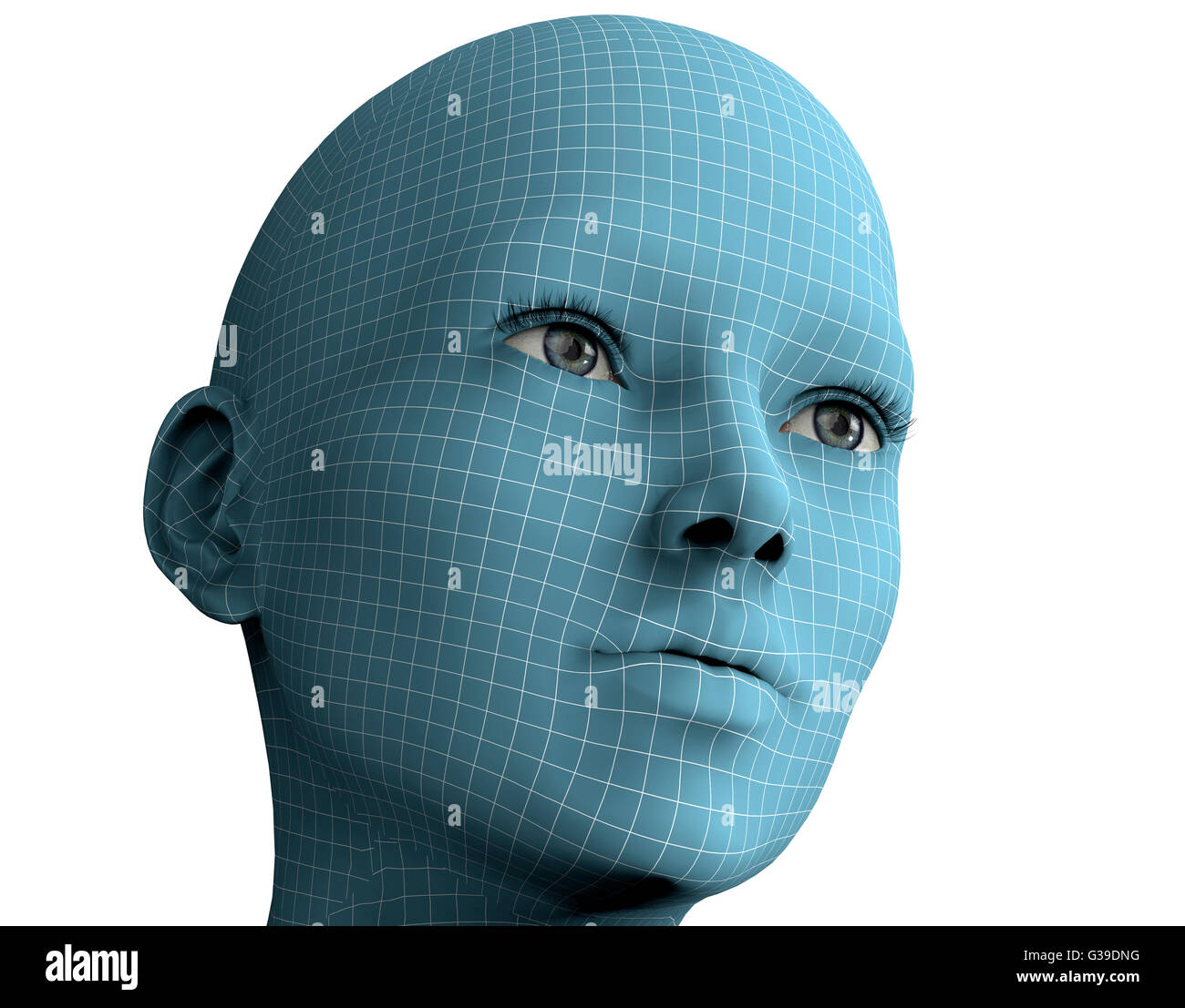 woman face in wireframe lines isolated on white Stock Photo - Alamy