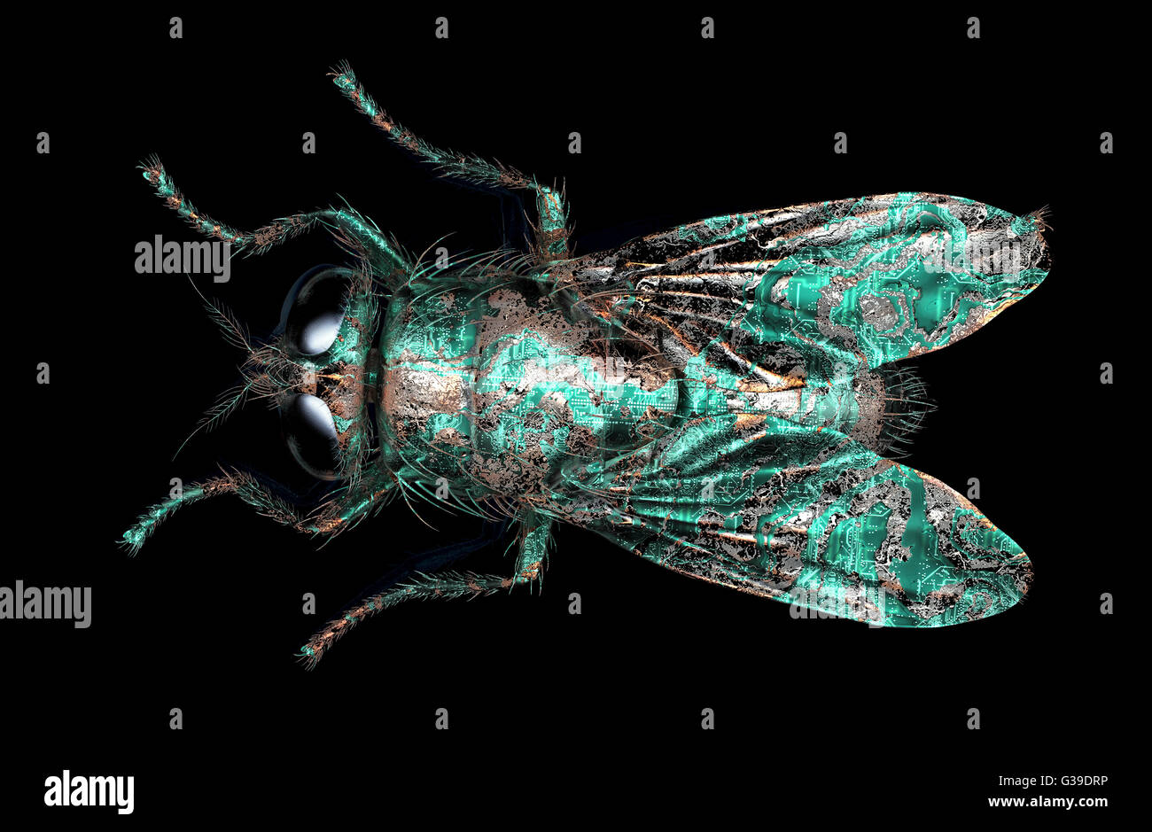 digital safety concept electronic computer bug isolated, 3D ...