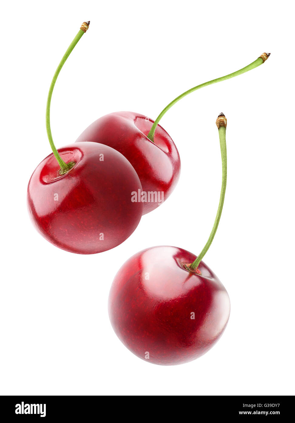 Isolated flying cherries. Three falling cherry fruits isolated on white ...