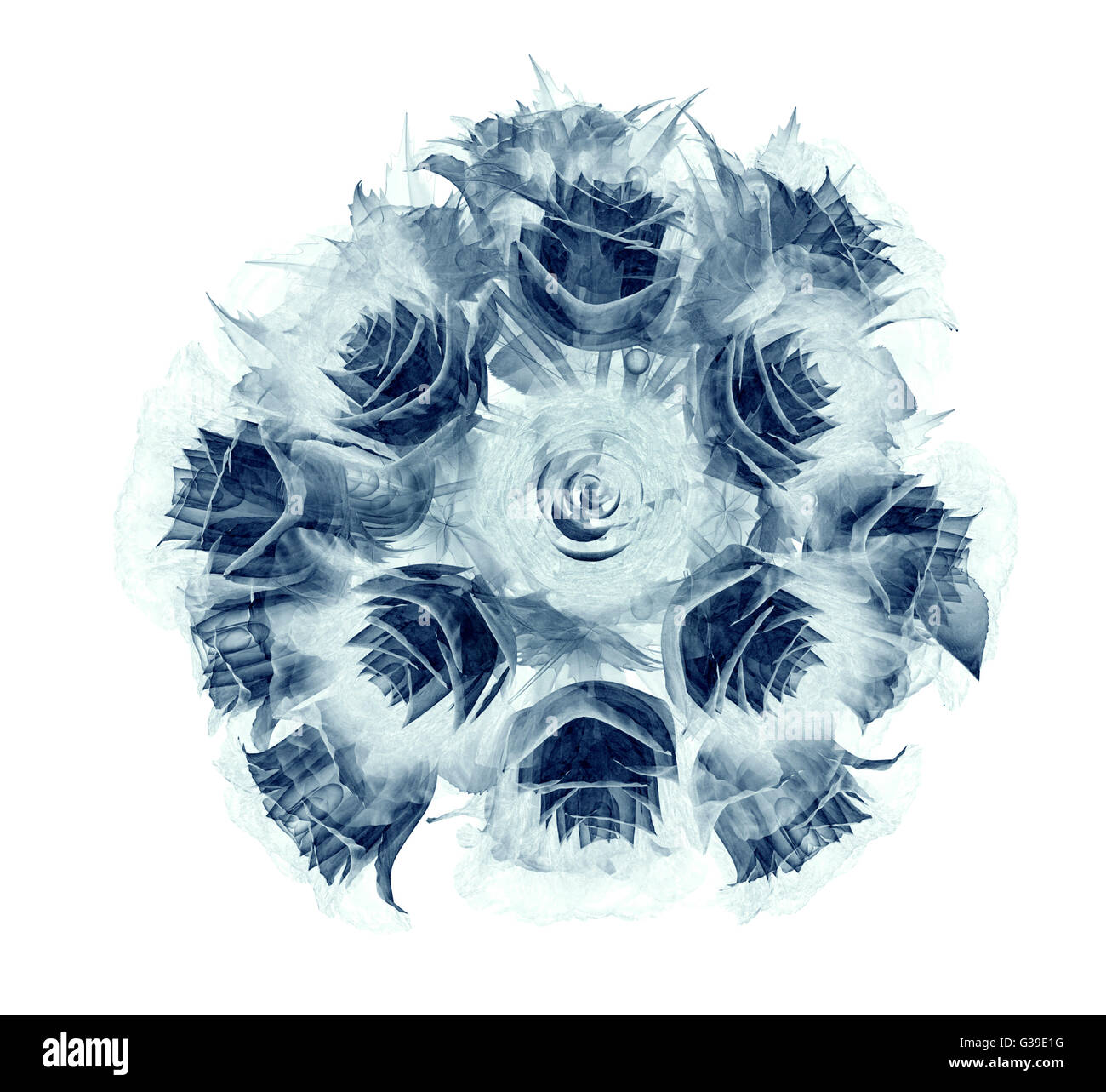 x-ray image of a flower isolated on white , the rose 3d illustration ...