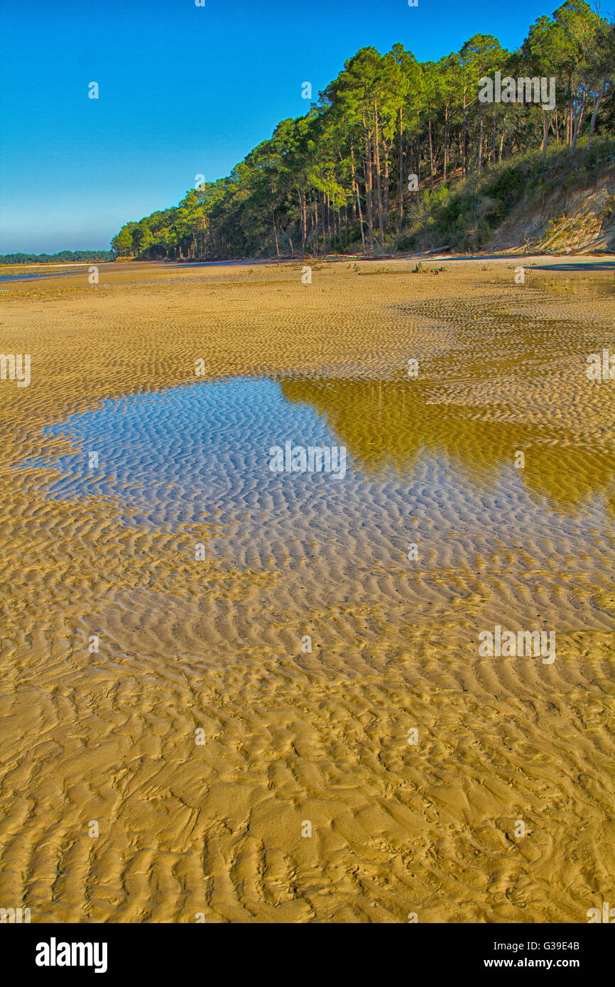 Bluffs formed by shifting sand along the undeveloped coast in ...