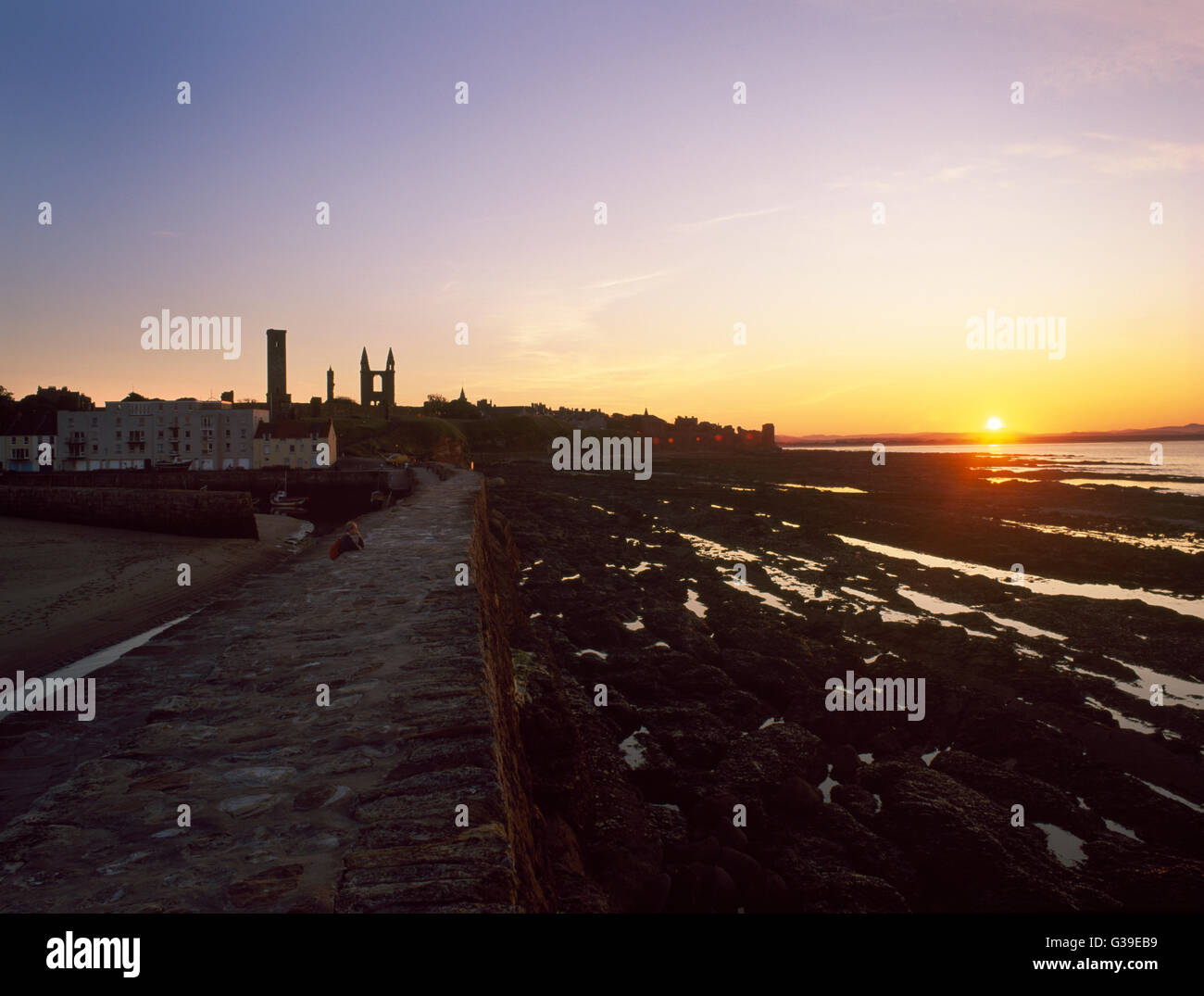 St regulus tower st rule st andrews hi-res stock photography and images ...