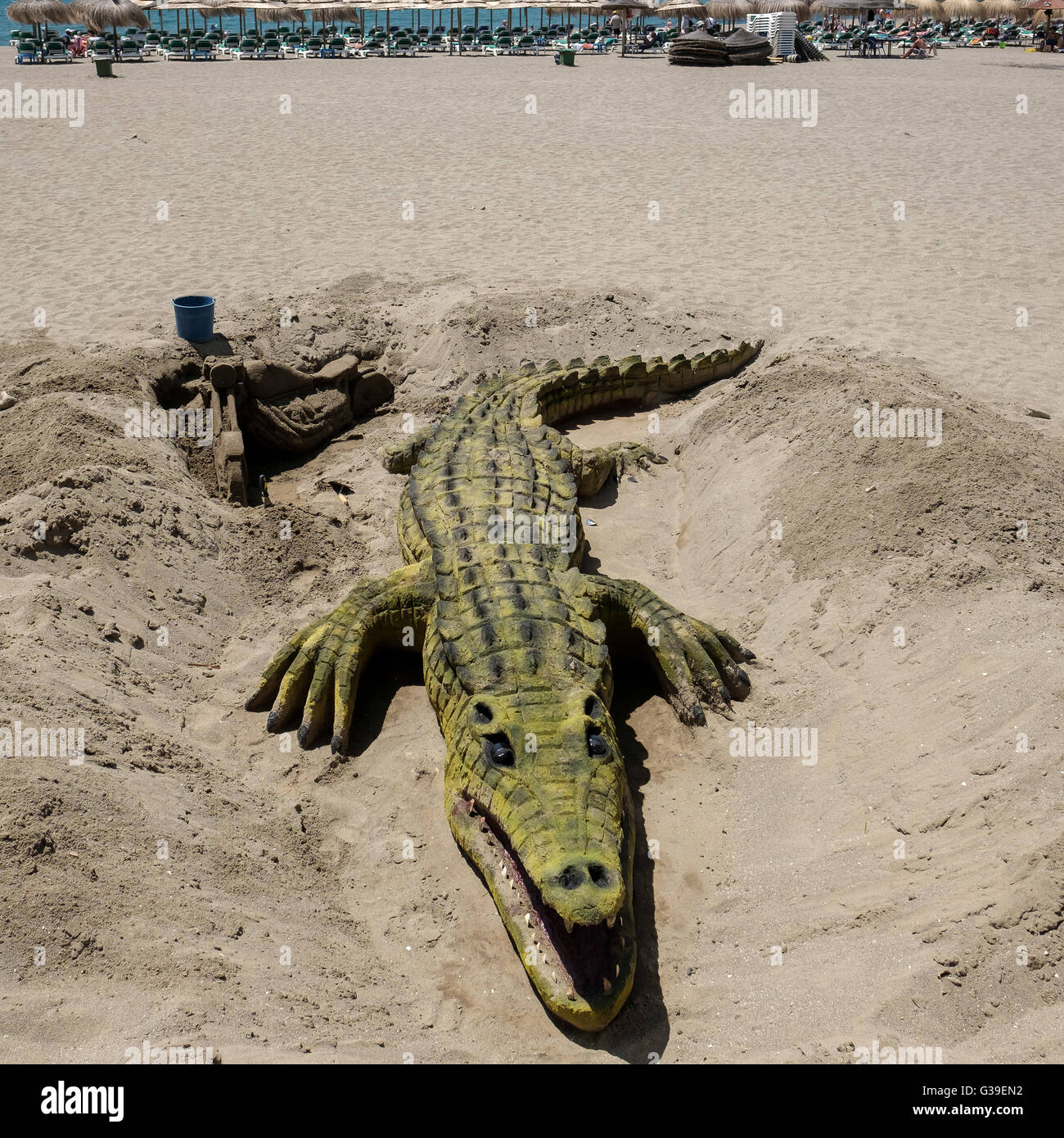 Sand crocodile on beach hi-res stock photography and images - Alamy