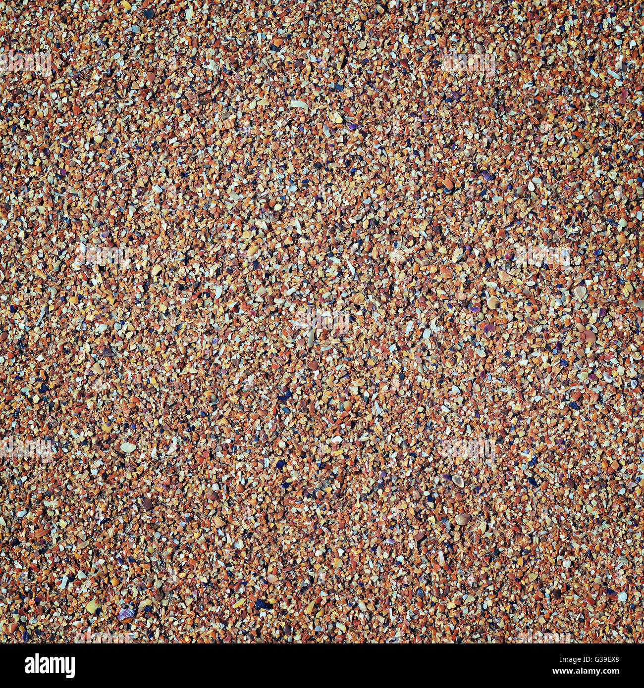 Sandy shell soil hi-res stock photography and images - Alamy