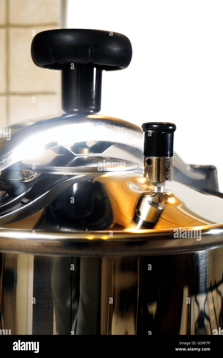 Pressure cooker stainless steel French-made for cooking food in steam ...
