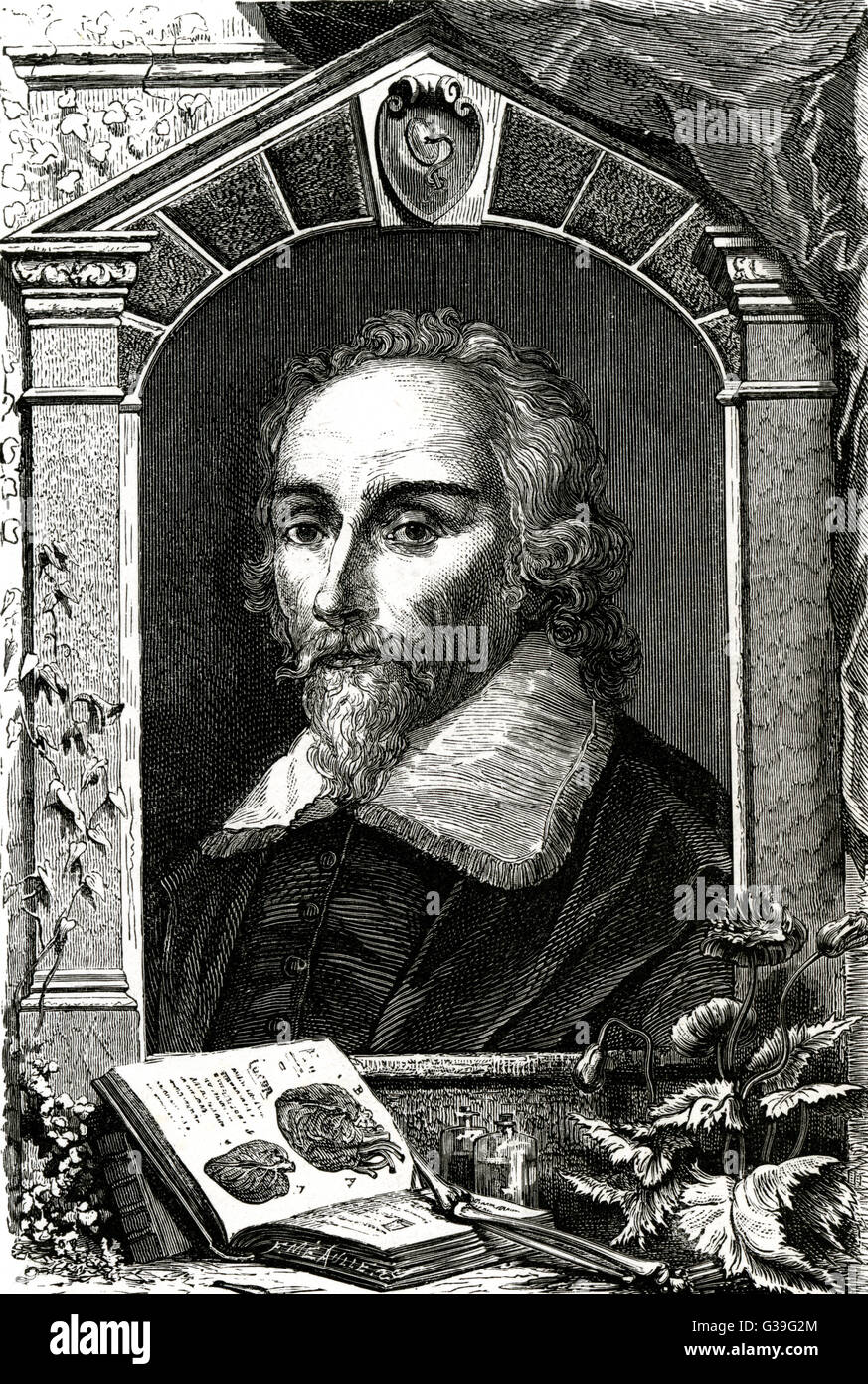 William harvey anatomy hi-res stock photography and images - Alamy