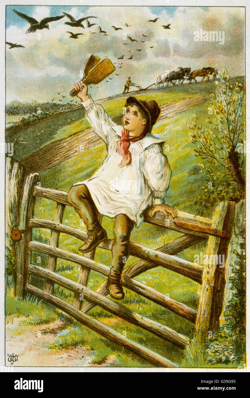 The Bird Boy Stock Photo - Alamy