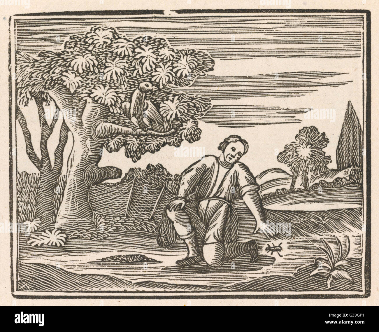 Hand pick insect hi-res stock photography and images - Alamy