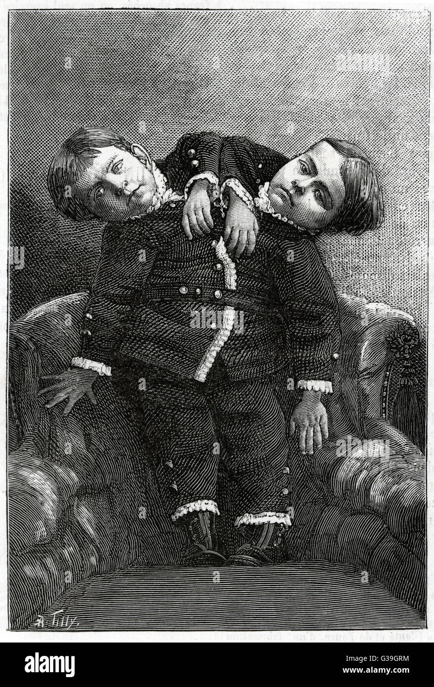 Five distinct hi-res stock photography and images - Alamy