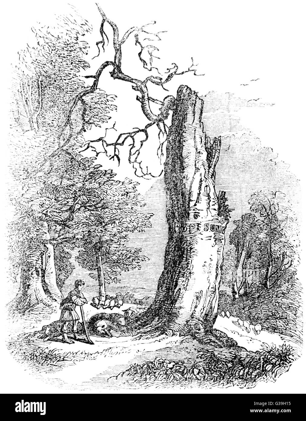 Pope alexander Cut Out Stock Images & Pictures - Alamy