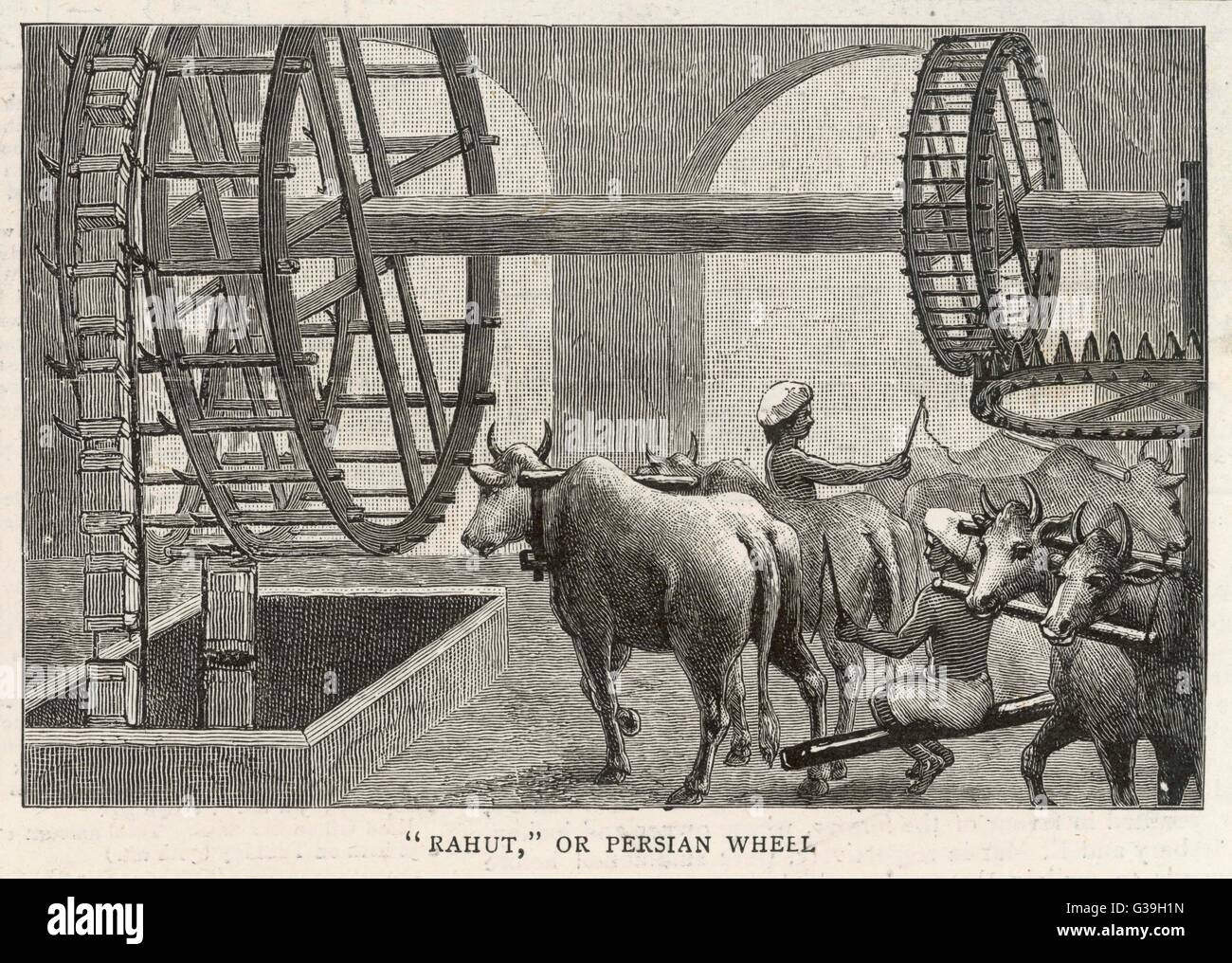 Persian Wheel India High Resolution Stock Photography and Images - Alamy