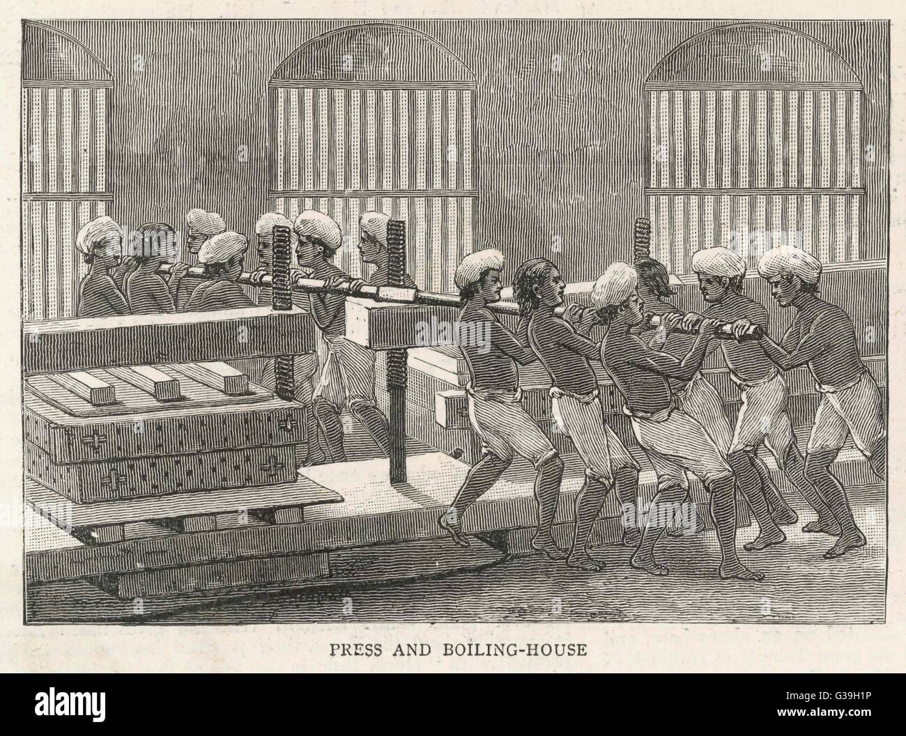 Indigo Factory - India Stock Photo - Alamy