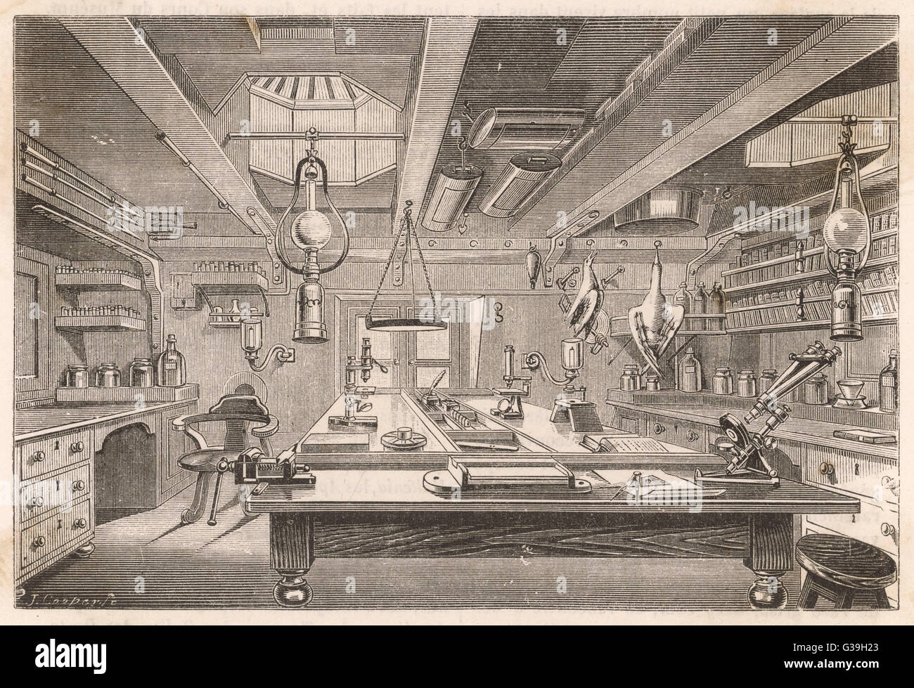 Zoological Science High Resolution Stock Photography and Images - Alamy