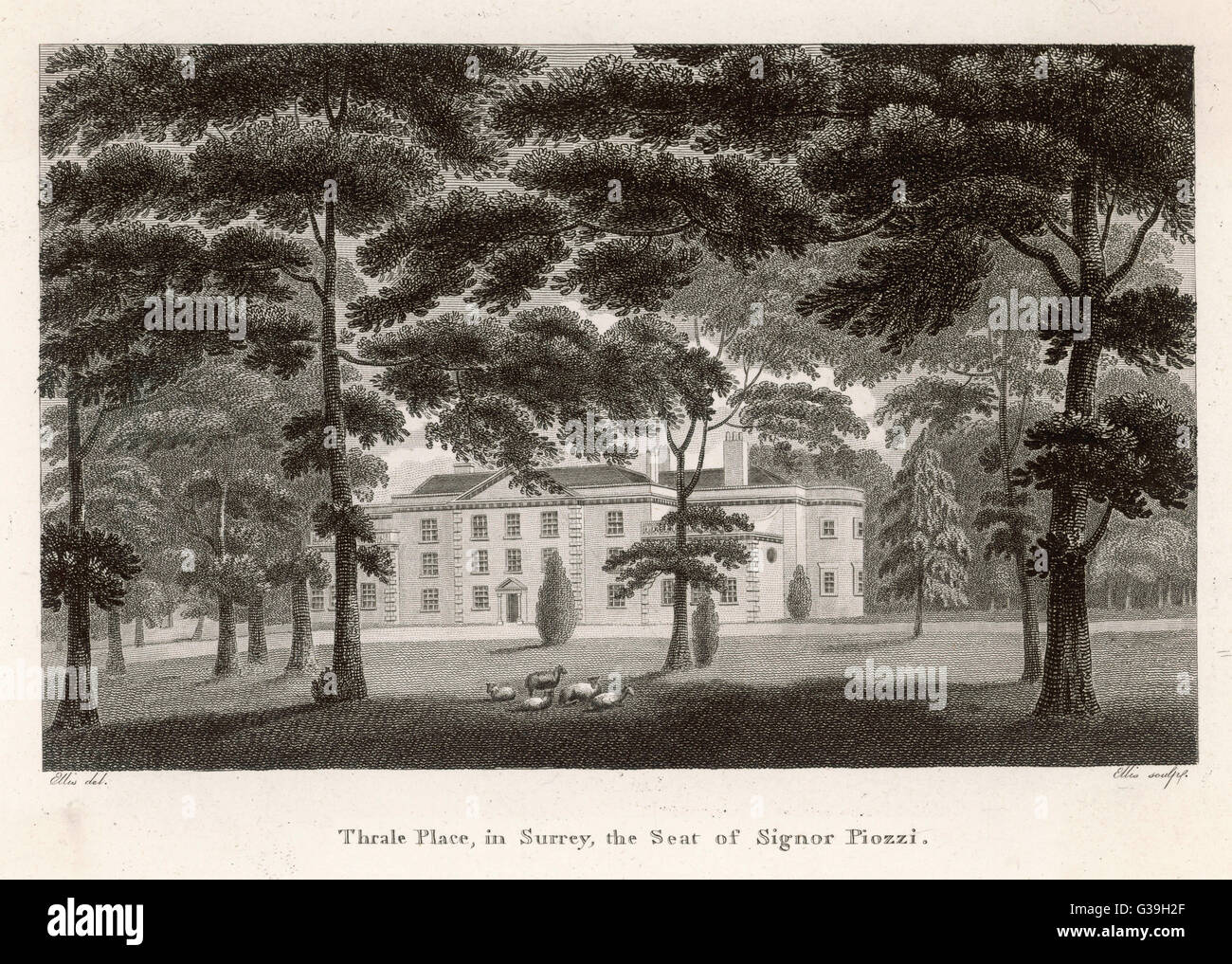 Hester Thrale - Home Stock Photo - Alamy