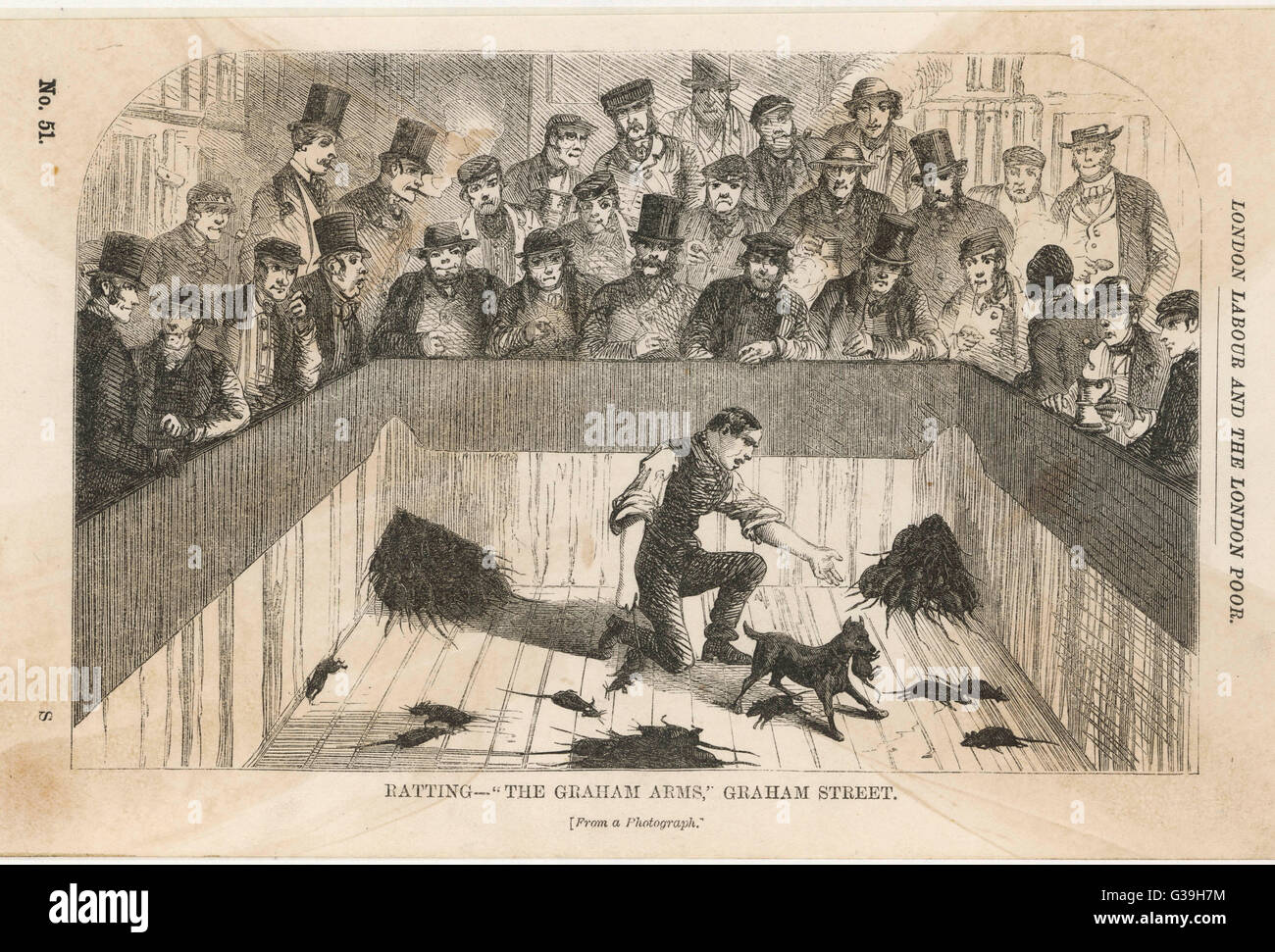 Ratting - the Graham Arms Stock Photo - Alamy