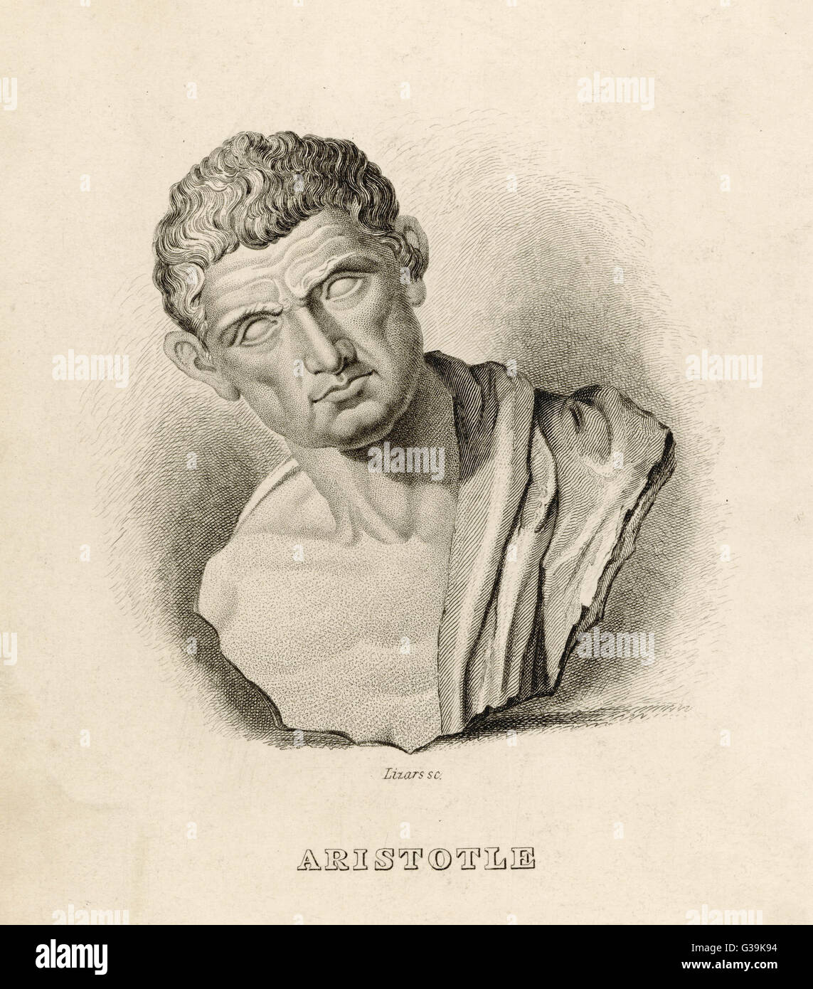 Lizars hi-res stock photography and images - Alamy