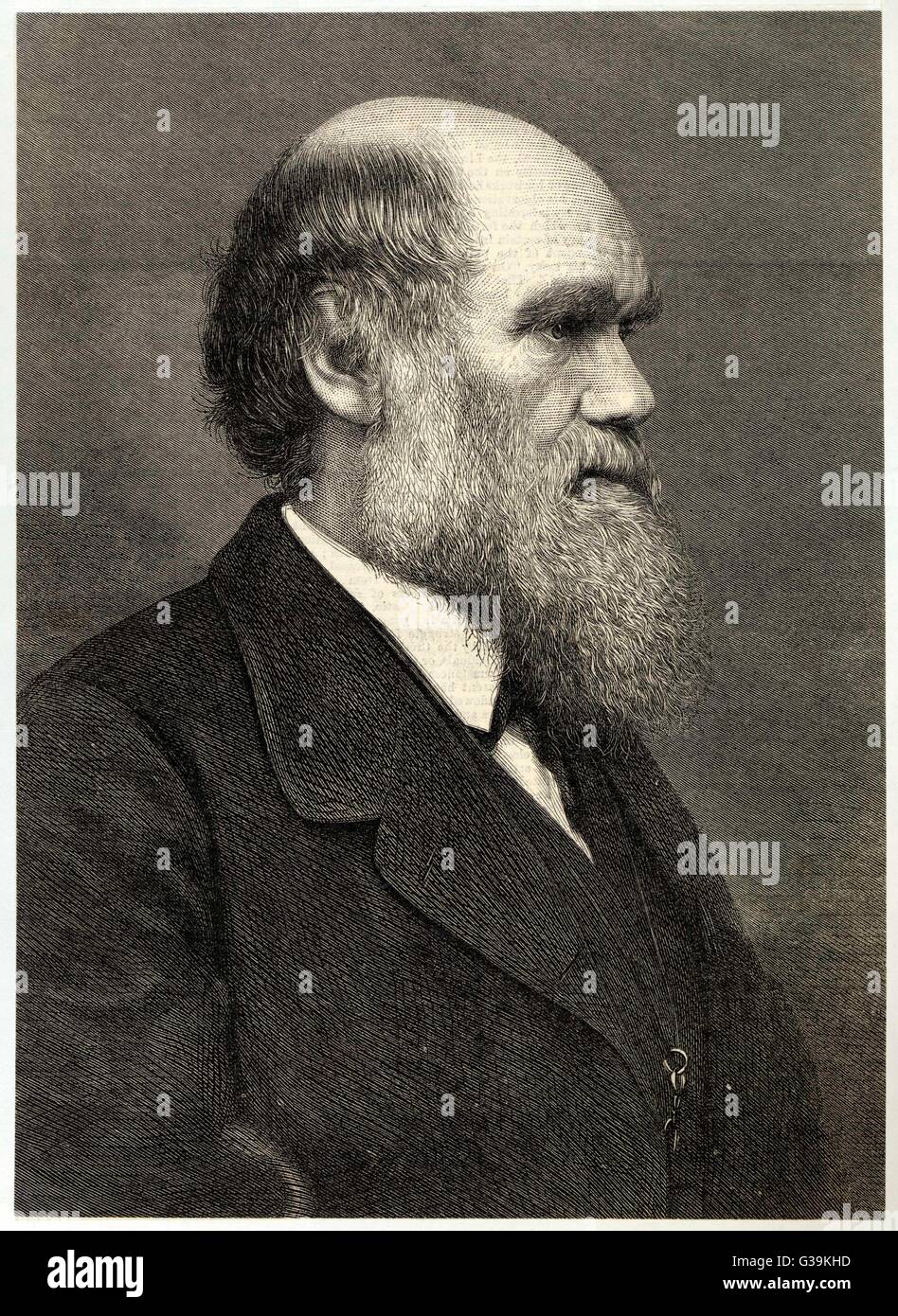 Darwin history hi-res stock photography and images - Alamy