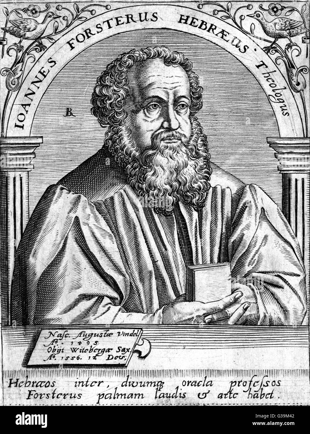 Forster hi-res stock photography and images - Alamy