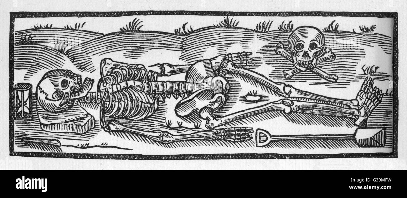 SKELETON AND SKULL Stock Photo - Alamy