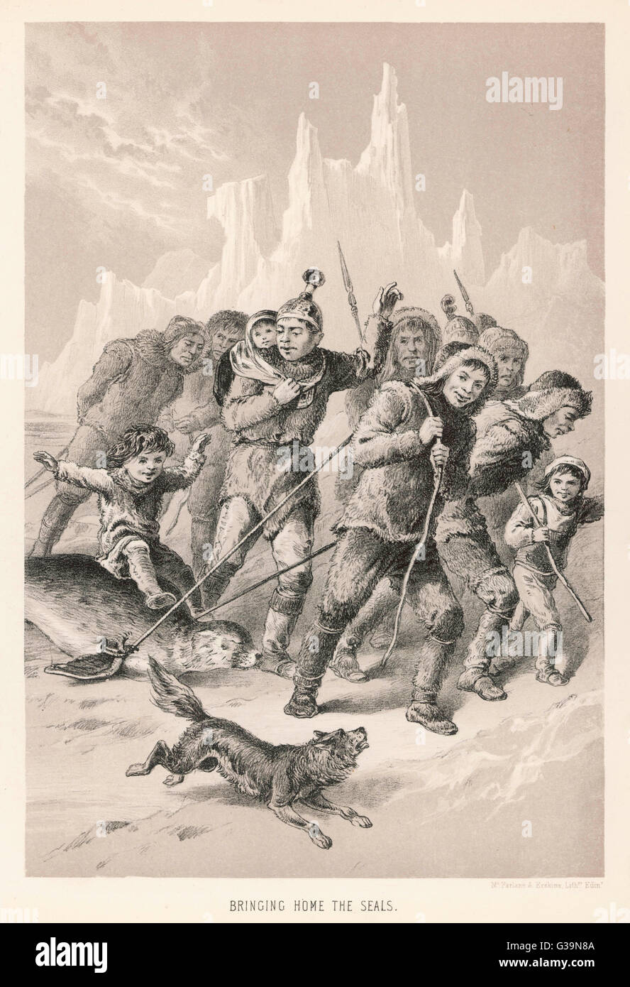 Parry seal hi-res stock photography and images - Alamy