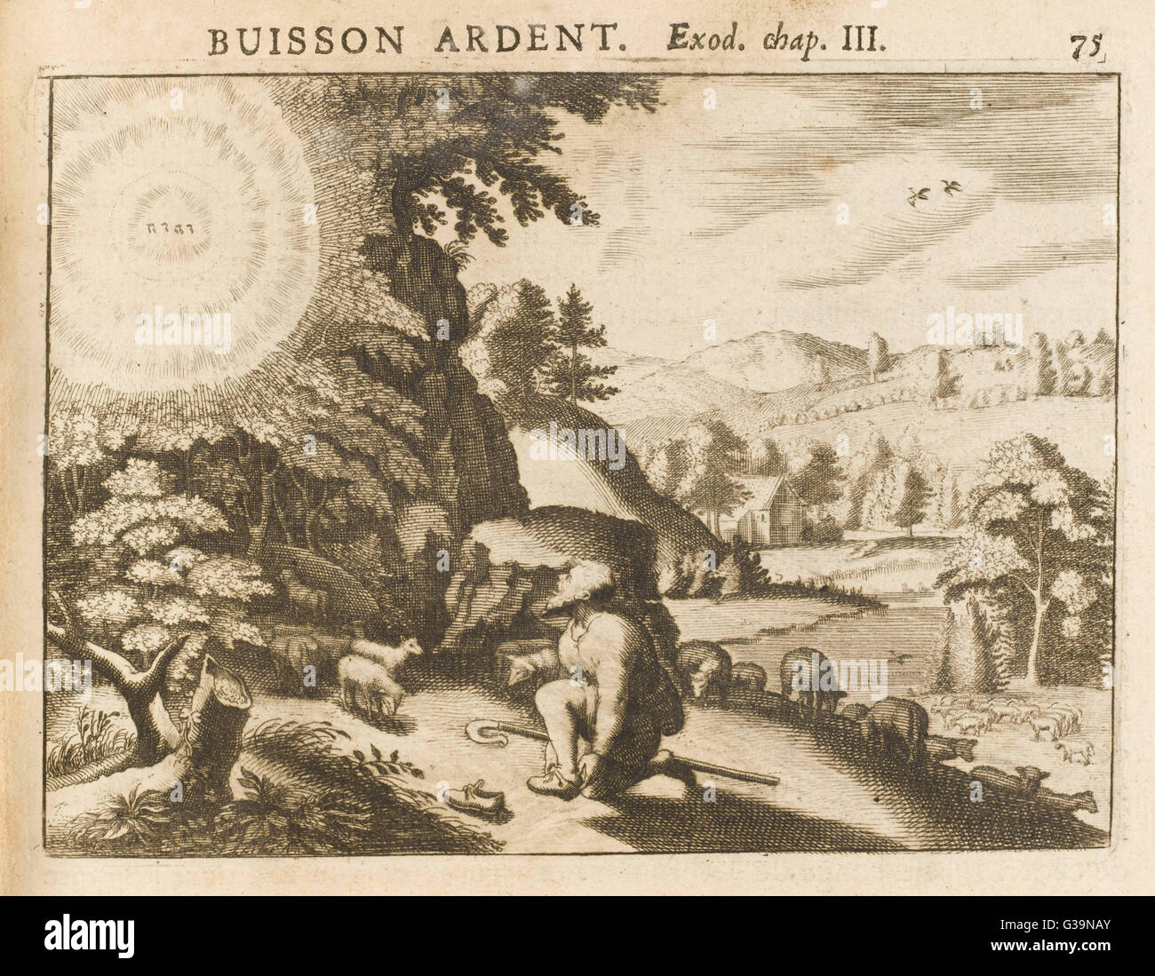 Burning bush moses hi-res stock photography and images - Alamy