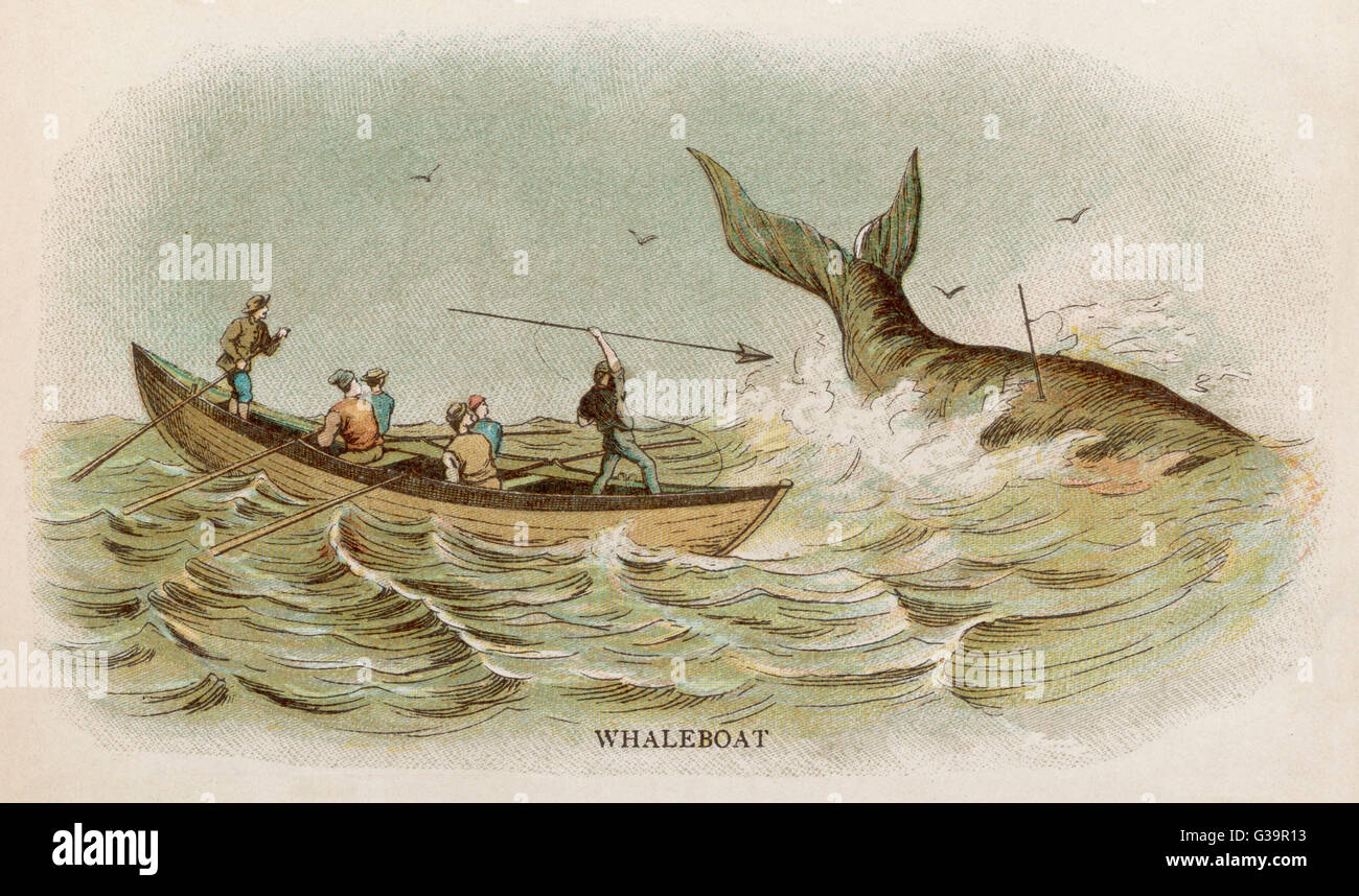 Whaling hi-res stock photography and images - Alamy