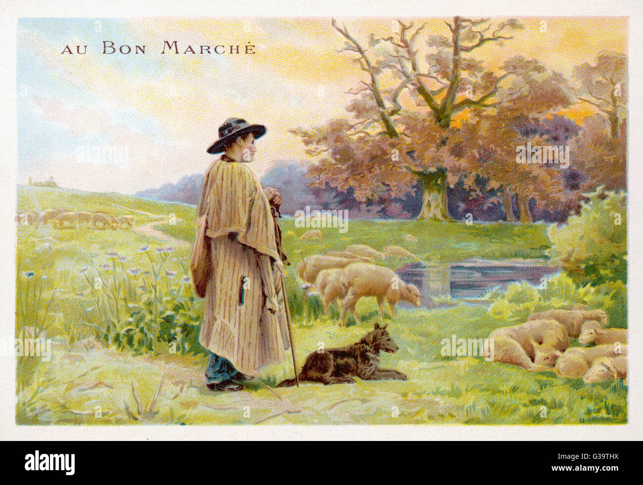 Shepherd and sheep dog hi-res stock photography and images - Alamy