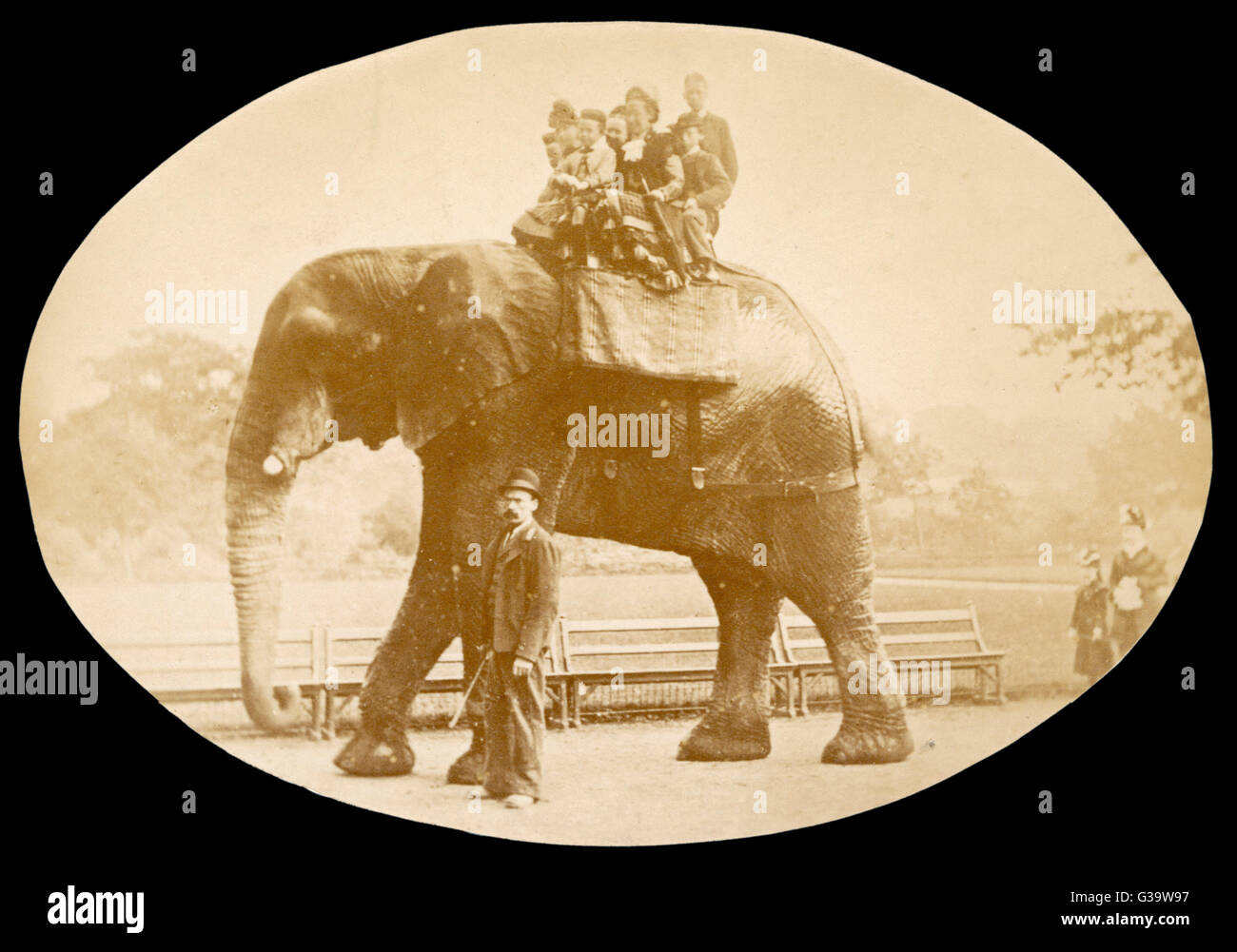 JUMBO / PHOTO Stock Photo - Alamy