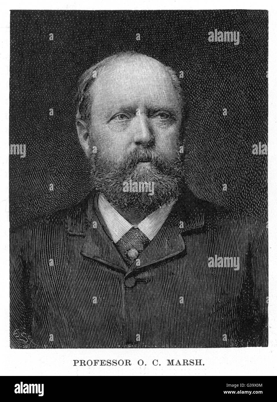 Charles marsh Black and White Stock Photos & Images - Alamy