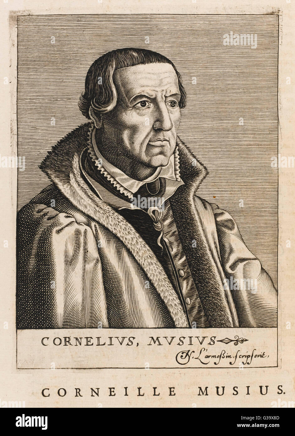 Musius hi-res stock photography and images - Alamy