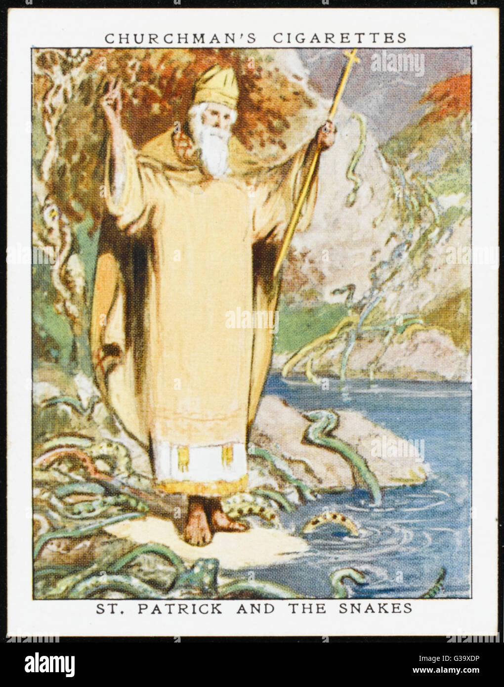 St patrick snakes hi-res stock photography and images - Alamy