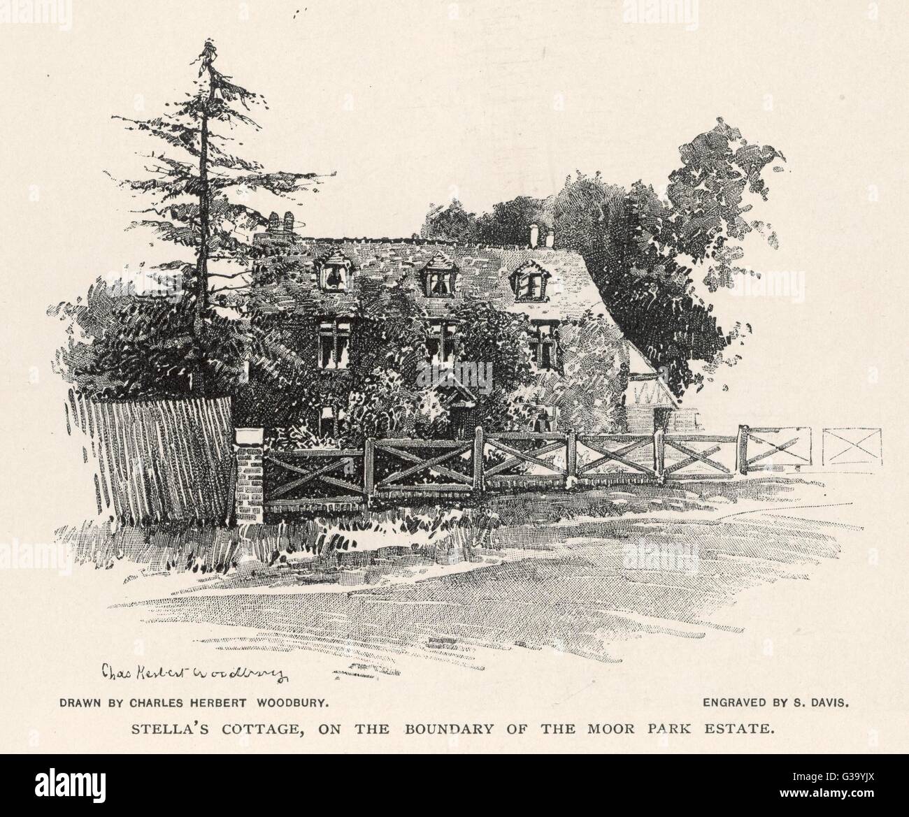 Stella friend hi-res stock photography and images - Alamy