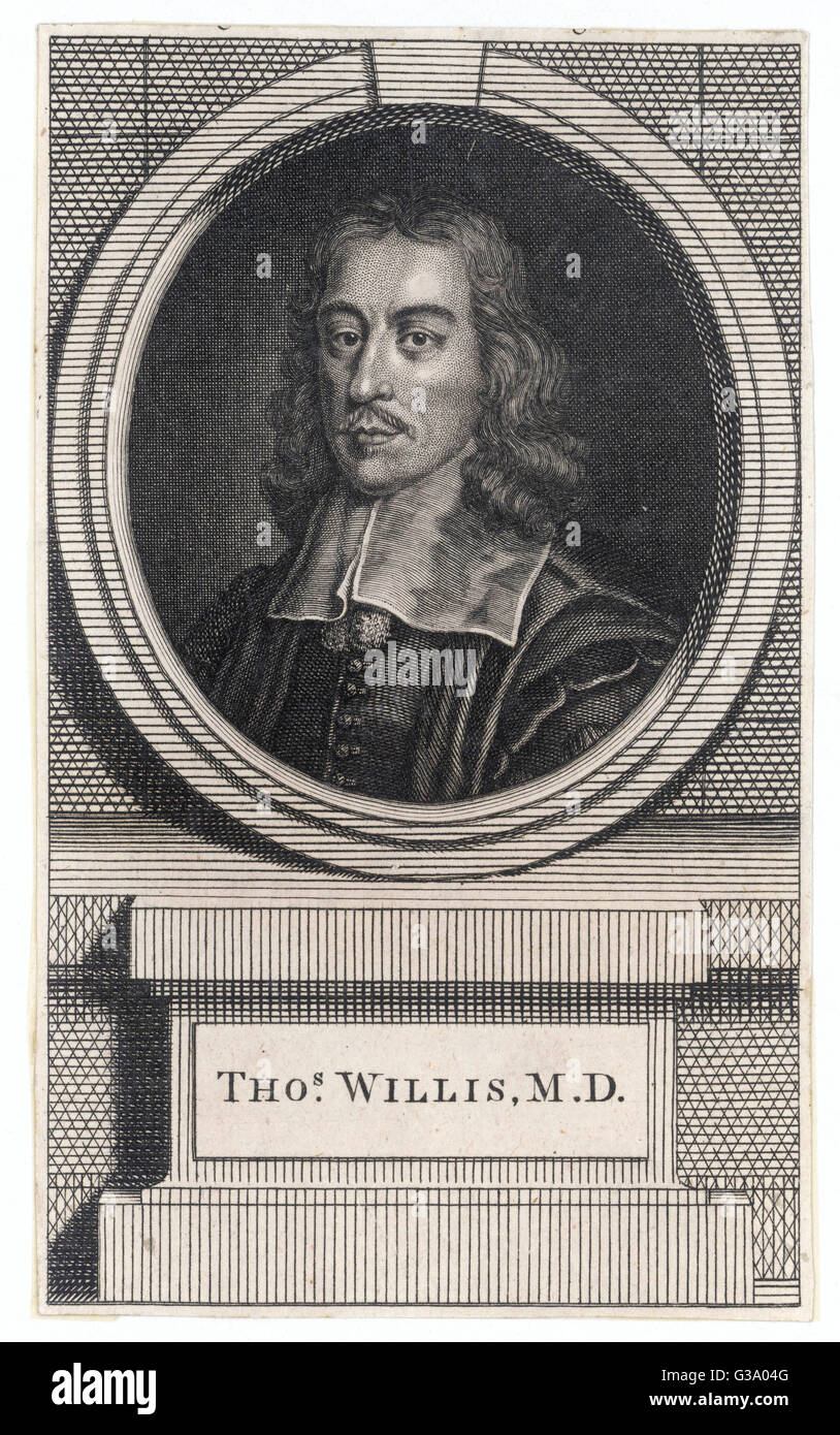 Thomas willis hi-res stock photography and images - Alamy