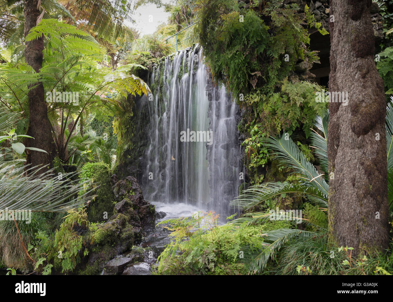 Green tree view waterfall hi-res stock photography and images - Alamy