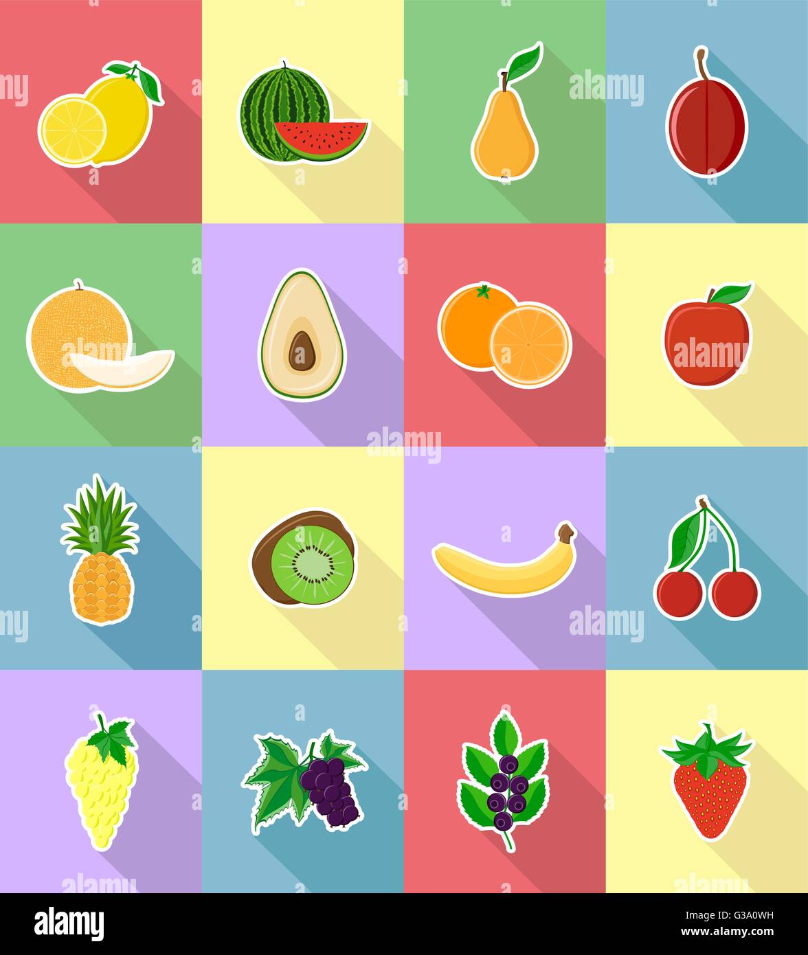fruits flat set icons with the shadow vector illustration isolated on ...