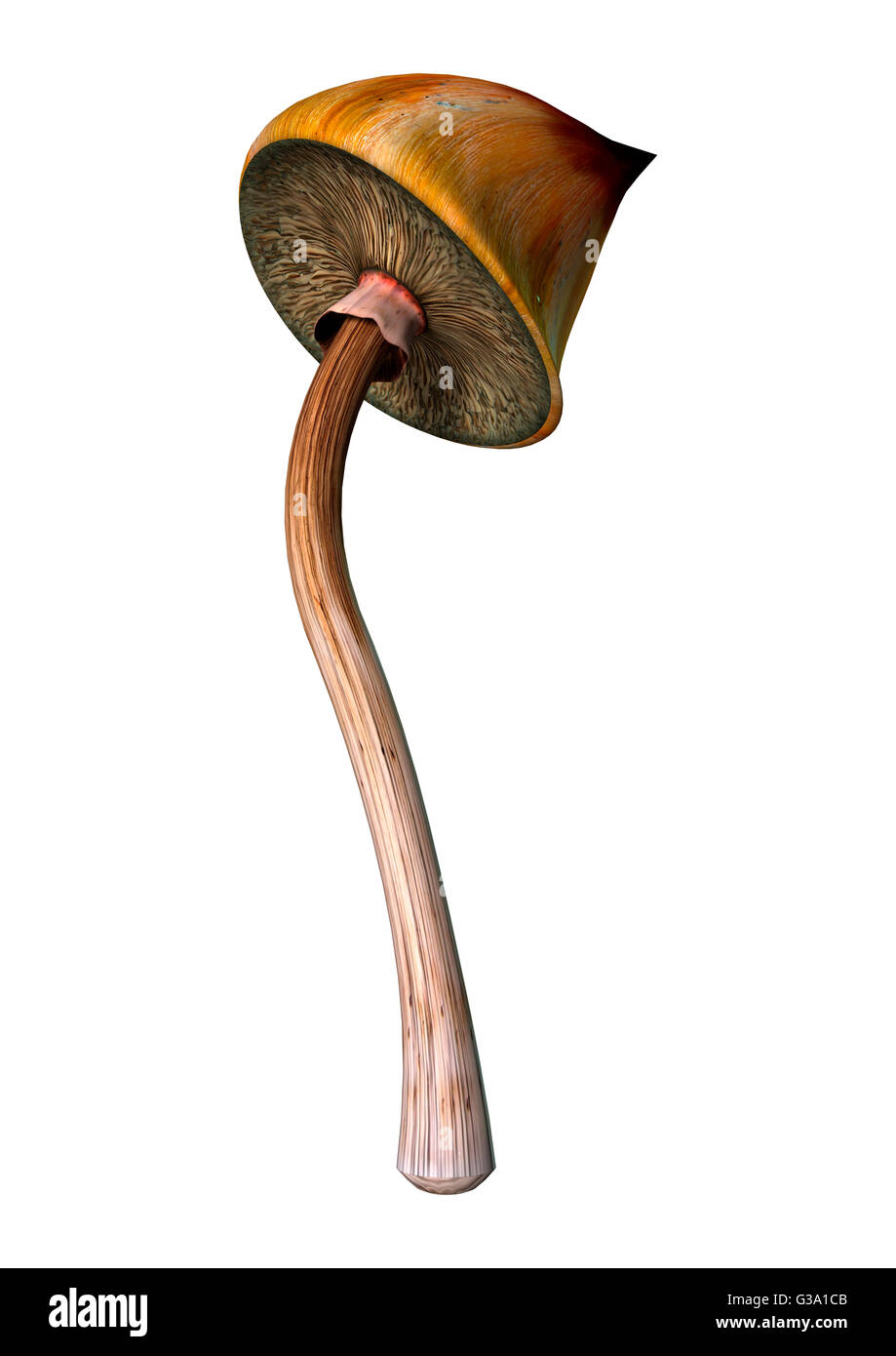 3D rendering of a single magic mushroom isolated on white background ...