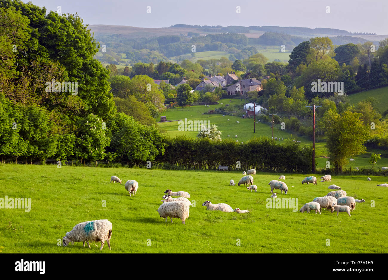 Clerk laithe lodge hi-res stock photography and images - Alamy