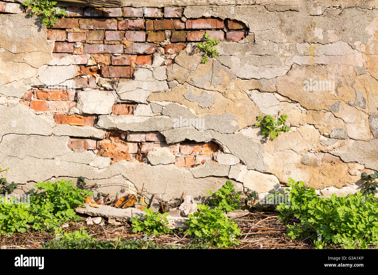 Chipped plaster hi-res stock photography and images - Alamy