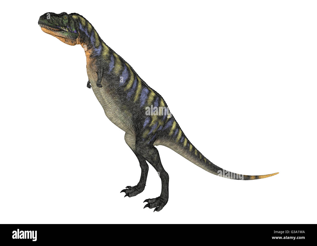 3D rendering of a dinosaur Aucasaurus isolated on white background ...