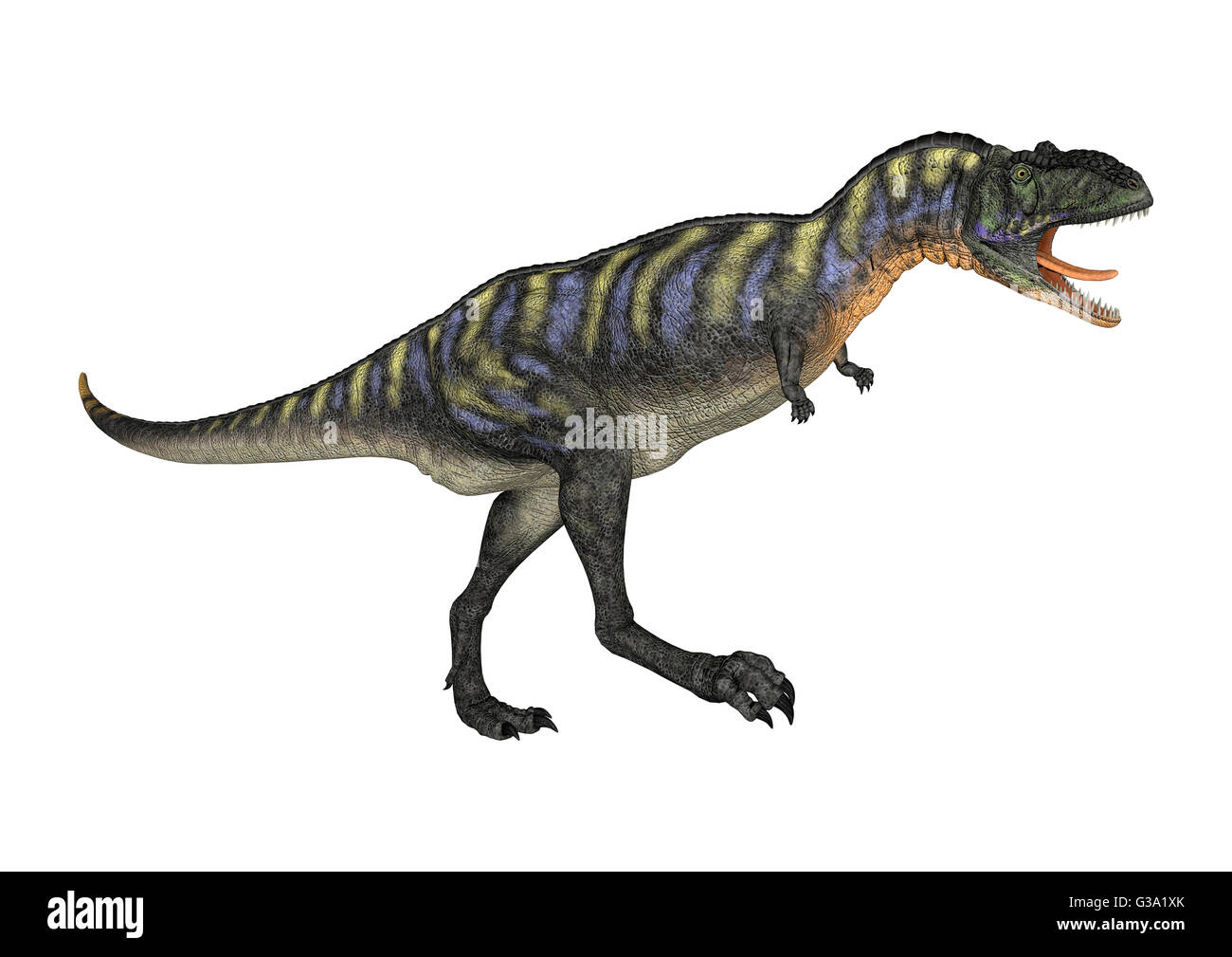 Aucasaurus hi-res stock photography and images - Alamy