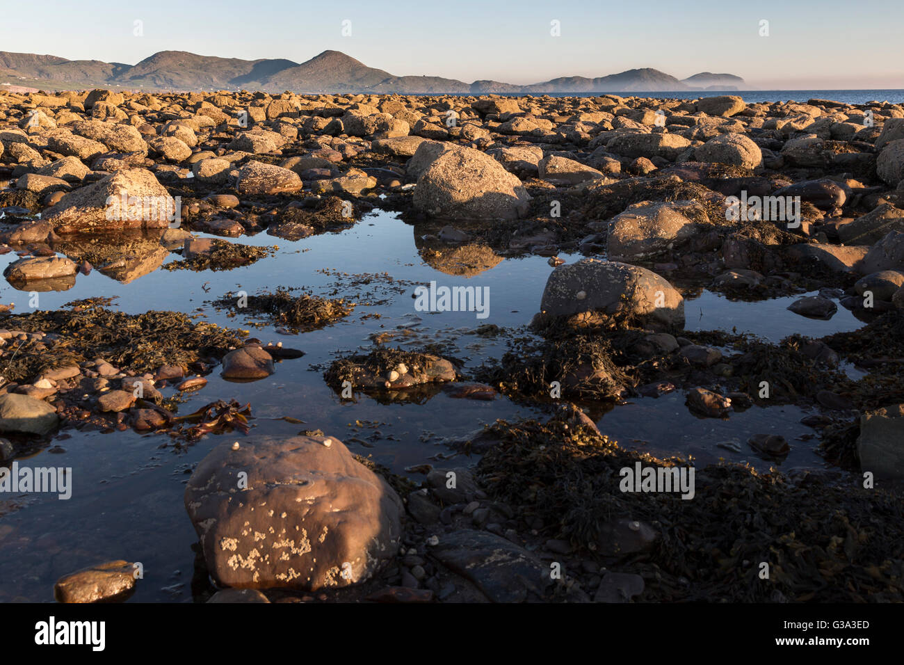 Rocks and rock pools in evening light Waterville Beach County Kerry ...