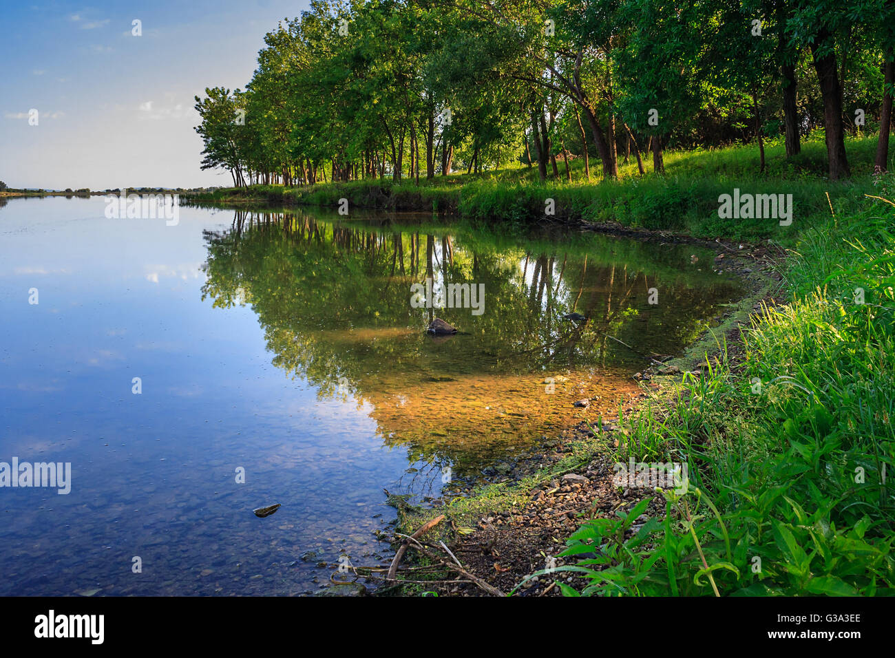 Mountain lake and forest on the embankment Stock Photo - Alamy