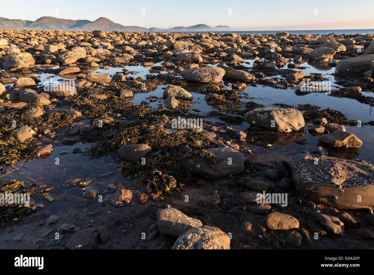 Rocks and rock pools in evening light Waterville Beach County Kerry ...