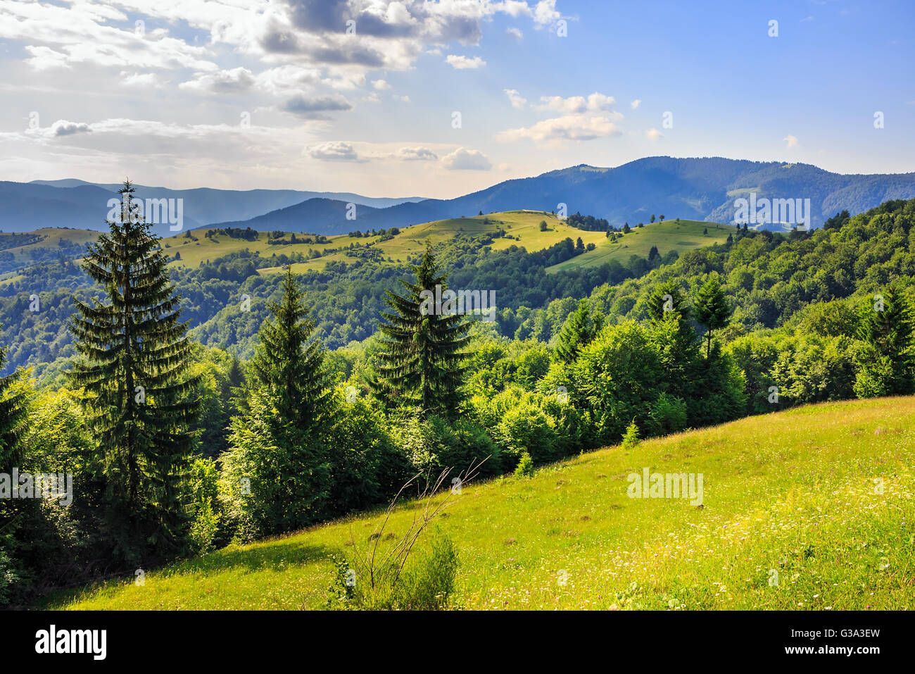 Valley of the rain forest hi-res stock photography and images - Alamy