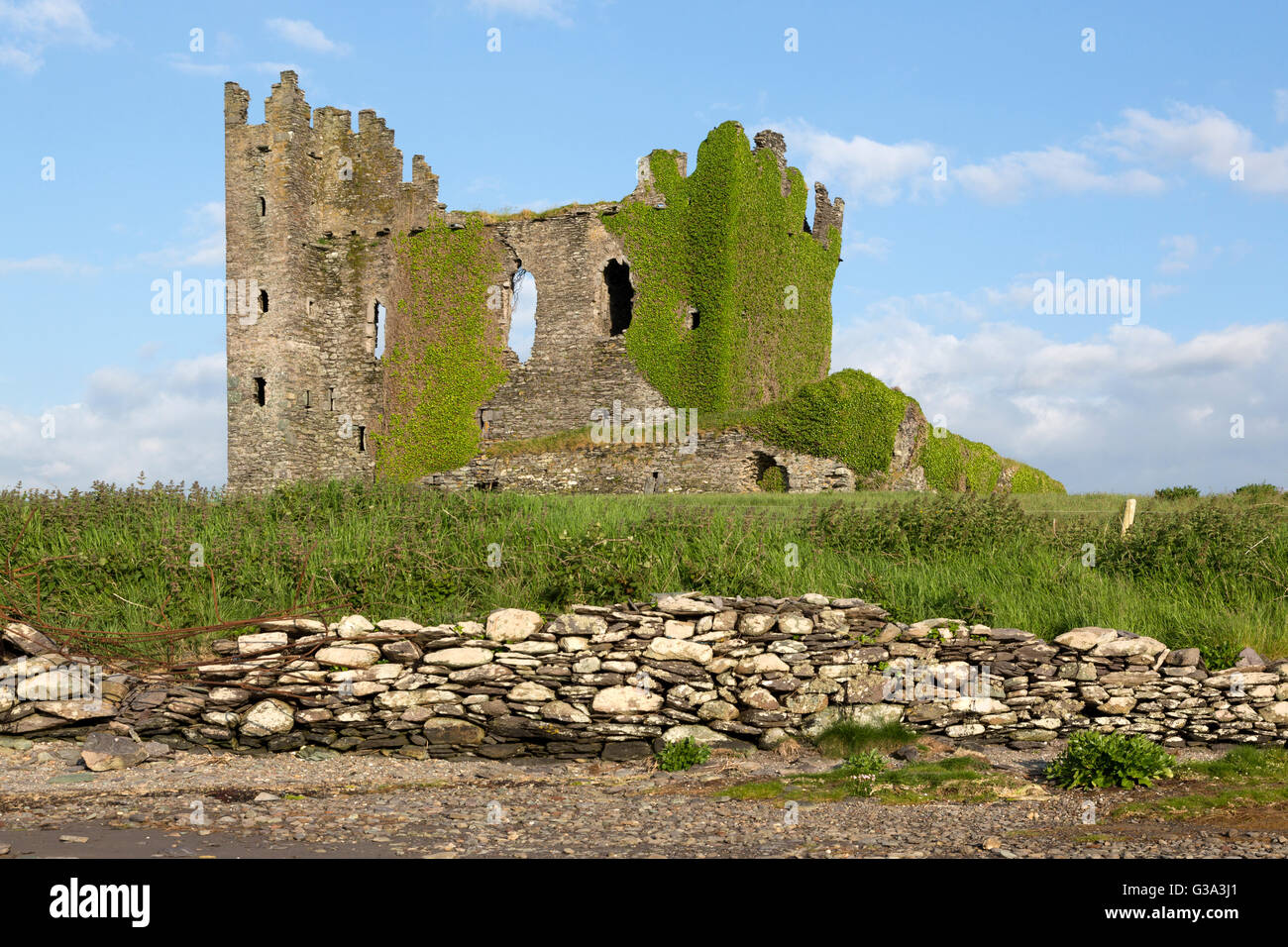 Ballycarberry Castle, near Cahersiveen, Ring of Kerry, Ireland Stock ...