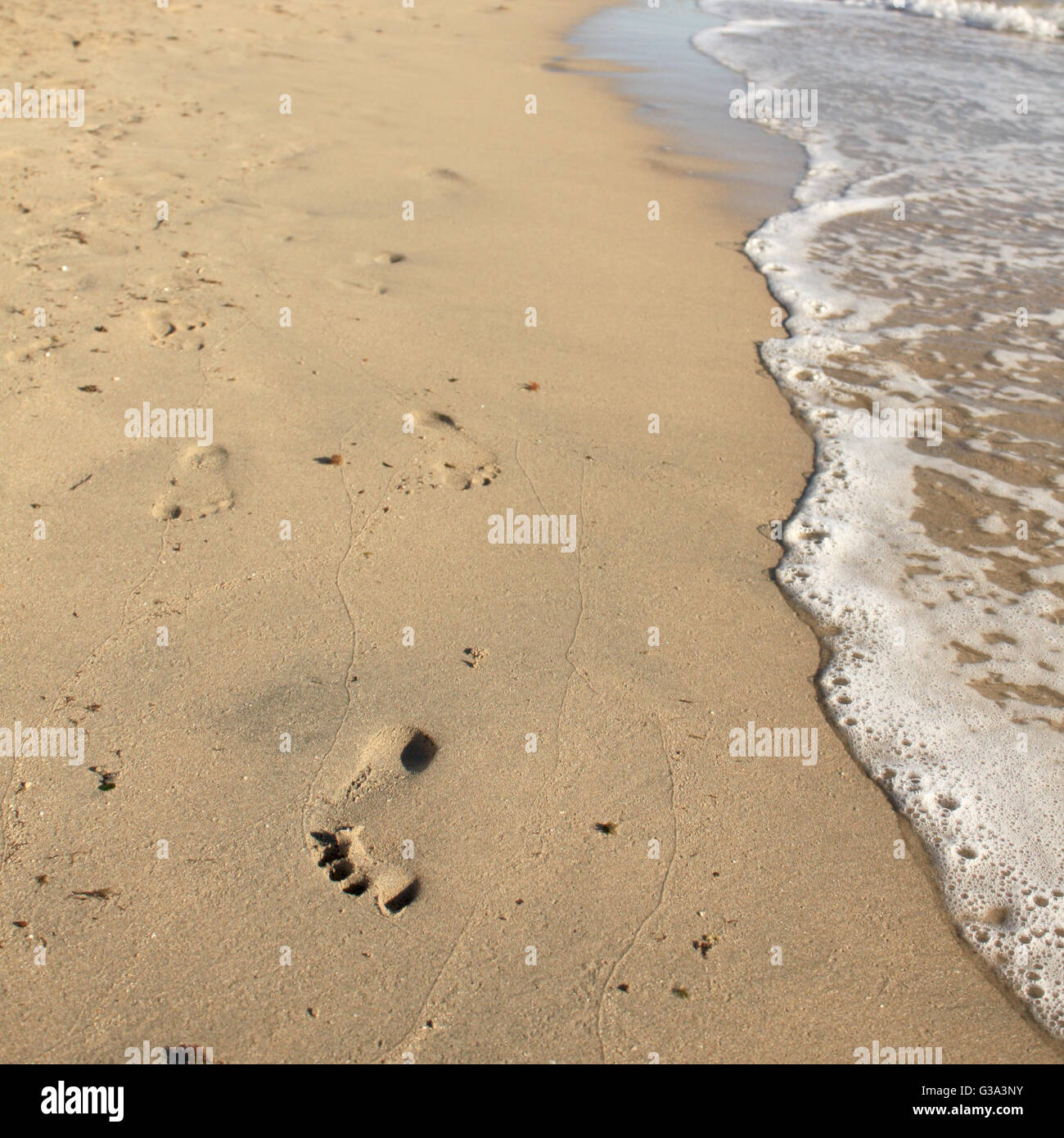 Single footprint on the sand Stock Photo - Alamy