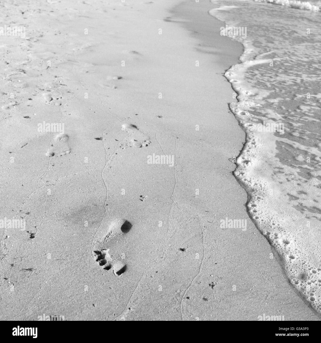 Human foot barefoot footprint Black and White Stock Photos & Images - Alamy
