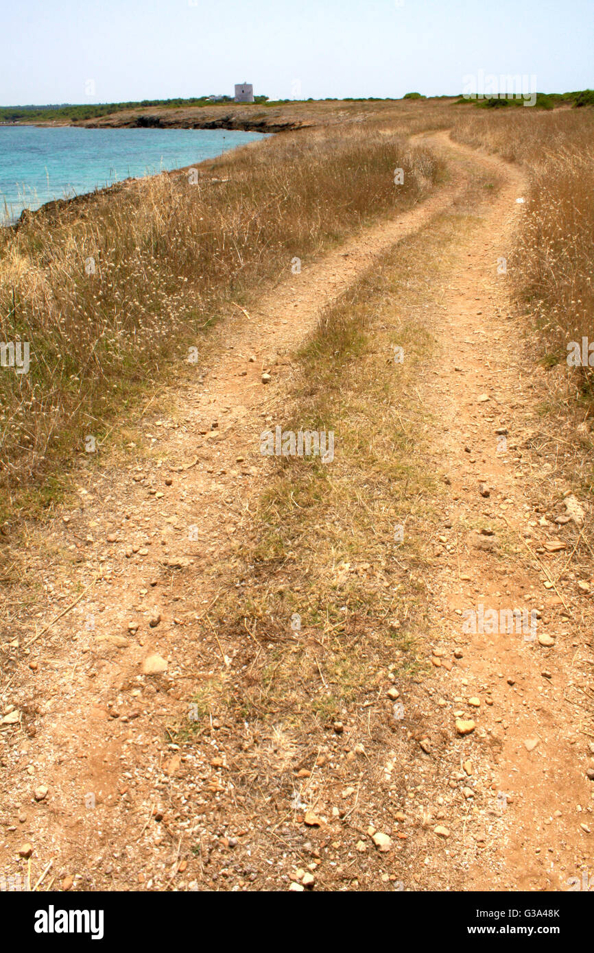 Coastal pathway in daylight (Salento, Puglia, Italy Stock Photo - Alamy